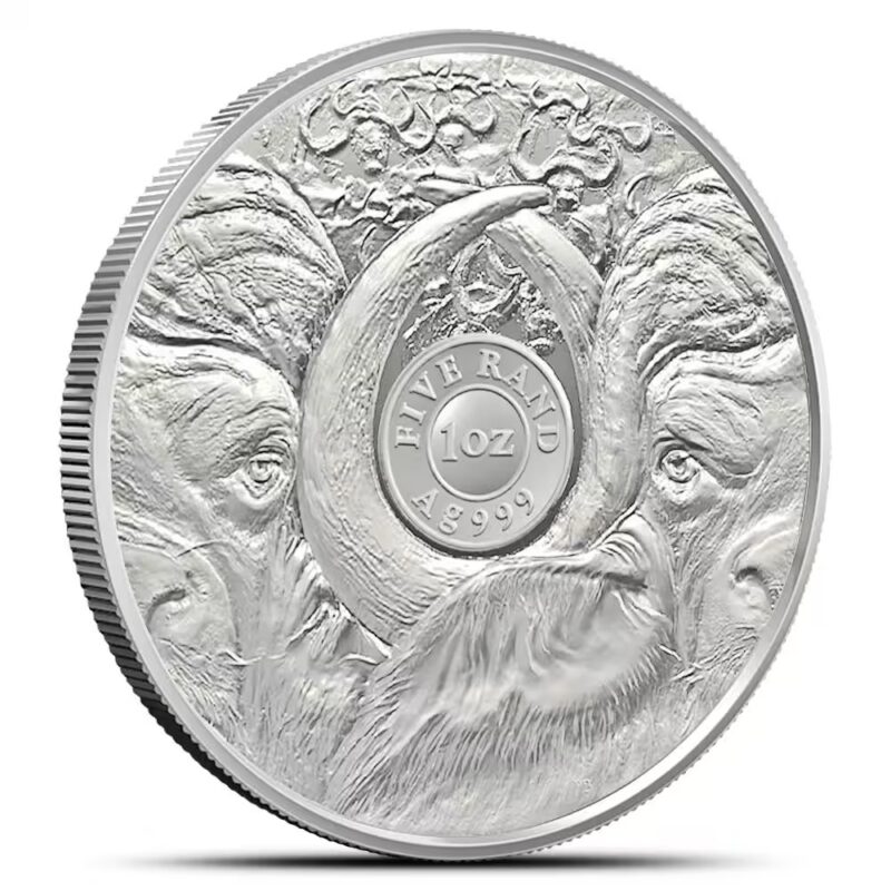 2023 Silver Big 5 Buffalo Series II - Colorado Gold